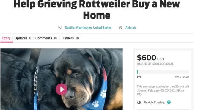Rottweiler Grieving For Its Dead Brother Was Part Of A Scam