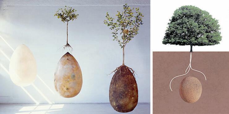 Burial Pods Will House Your Dead Body & Turn It Into A Tree