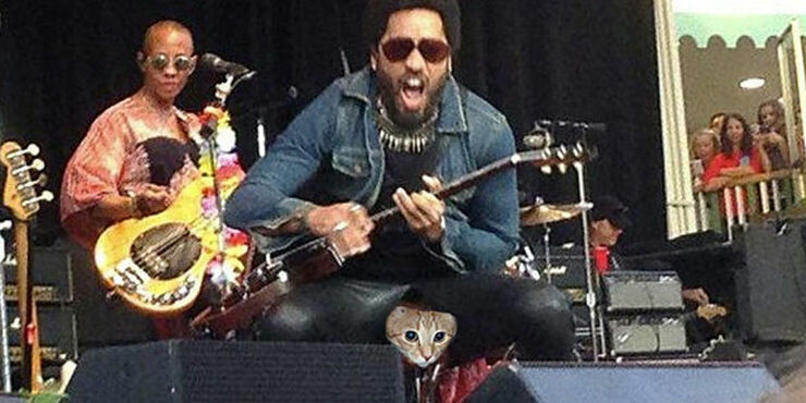 Lenny Kravitz Pants Split Open Revealing His Schlong