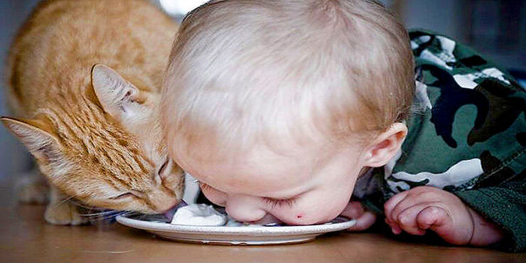 30 Examples Of Kids Who Think They Are Animals