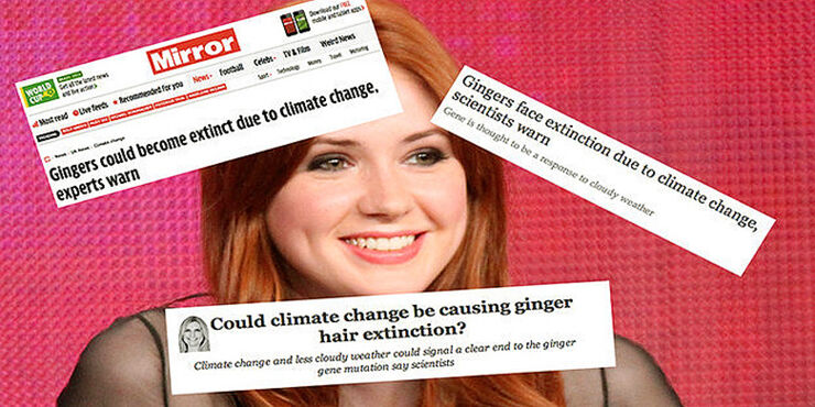 Gingers Could Become Extinct Due To Climate Change