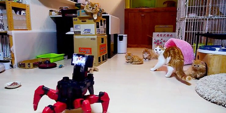 It's Cats Vs. Robots In An Adorable Battle Of Extreme Cuteness