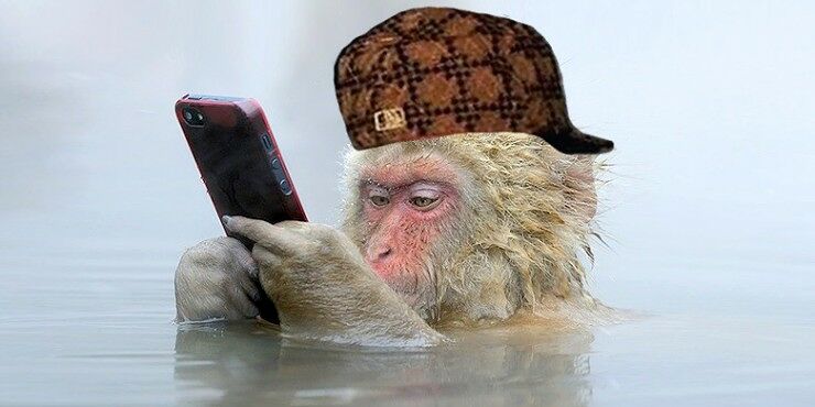 Criminal Monkeys Steal From Tourists, Hold Them To Ransom