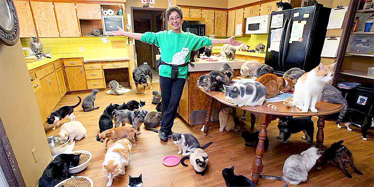Real-life Crazy Cat Lady Lives With 1,100 Cats