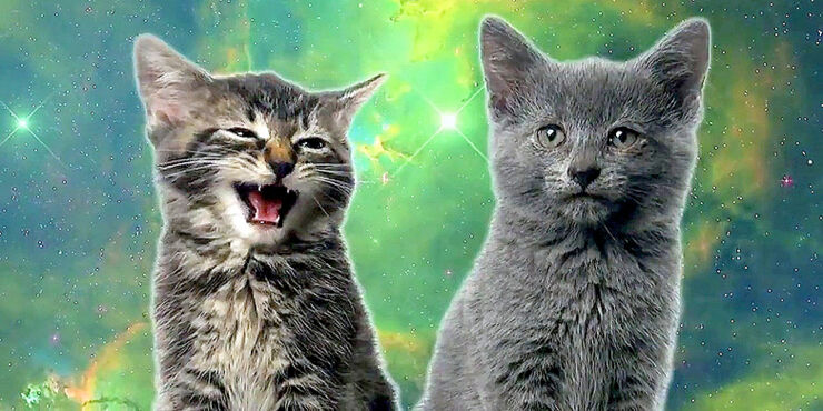 Autotuned Space Cats Meow Through The Universe