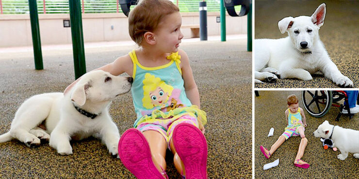 Girl Born Without Feet Gets A Little Puppy Without A Paw
