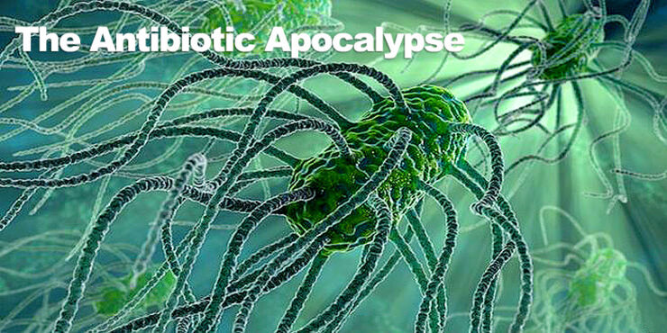 The Antibiotic Apocalypse Explained
