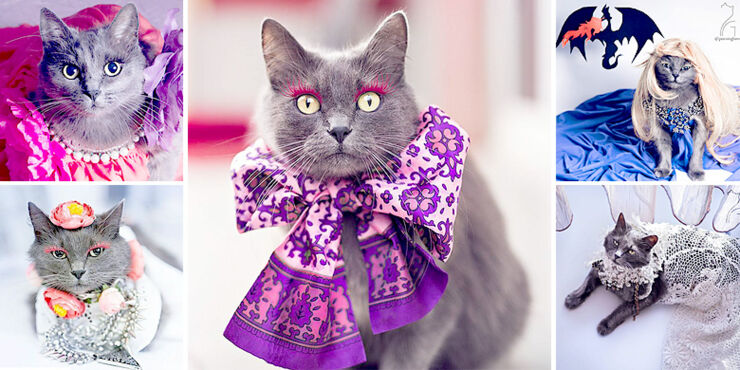 This Is Instagram's Most Fabulously Glam Feline