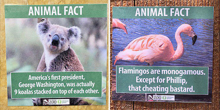 Obvious Plant Posts Fake Animal Facts At L.A. Zoo