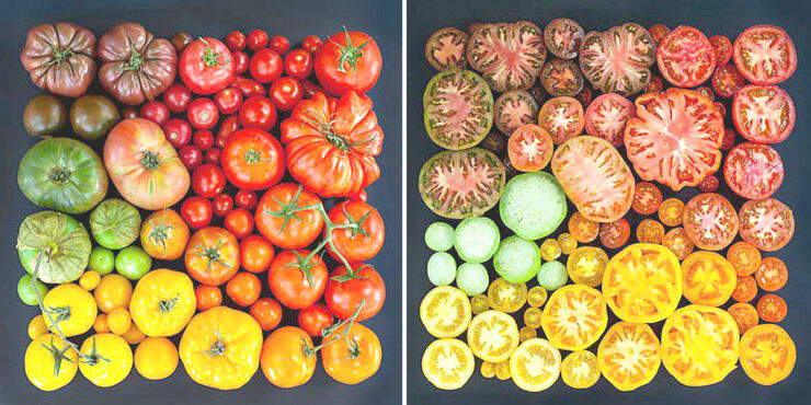 Get Your OCD Fix With These Color-Coded Food Photographs