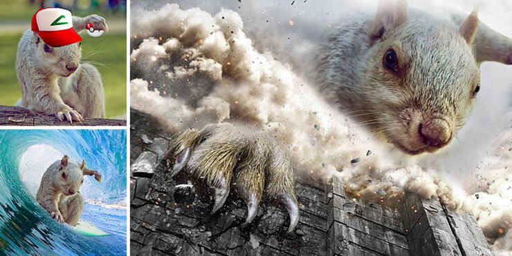 Badass Squirrel Gets Epic Photoshop Battle Treatment