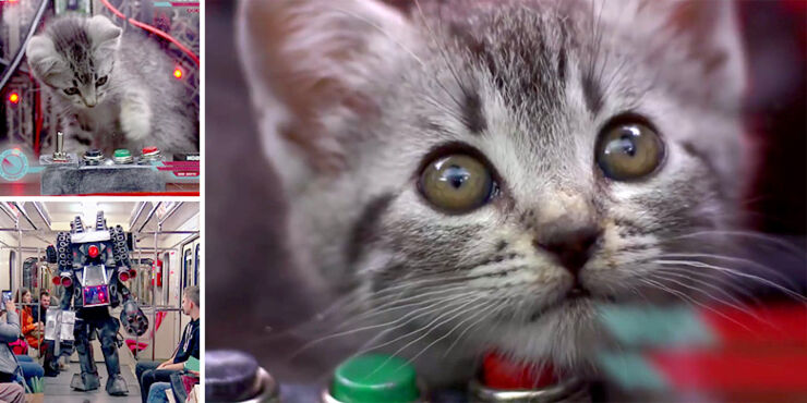 Mecha Cat is Cute And Badass All At Once